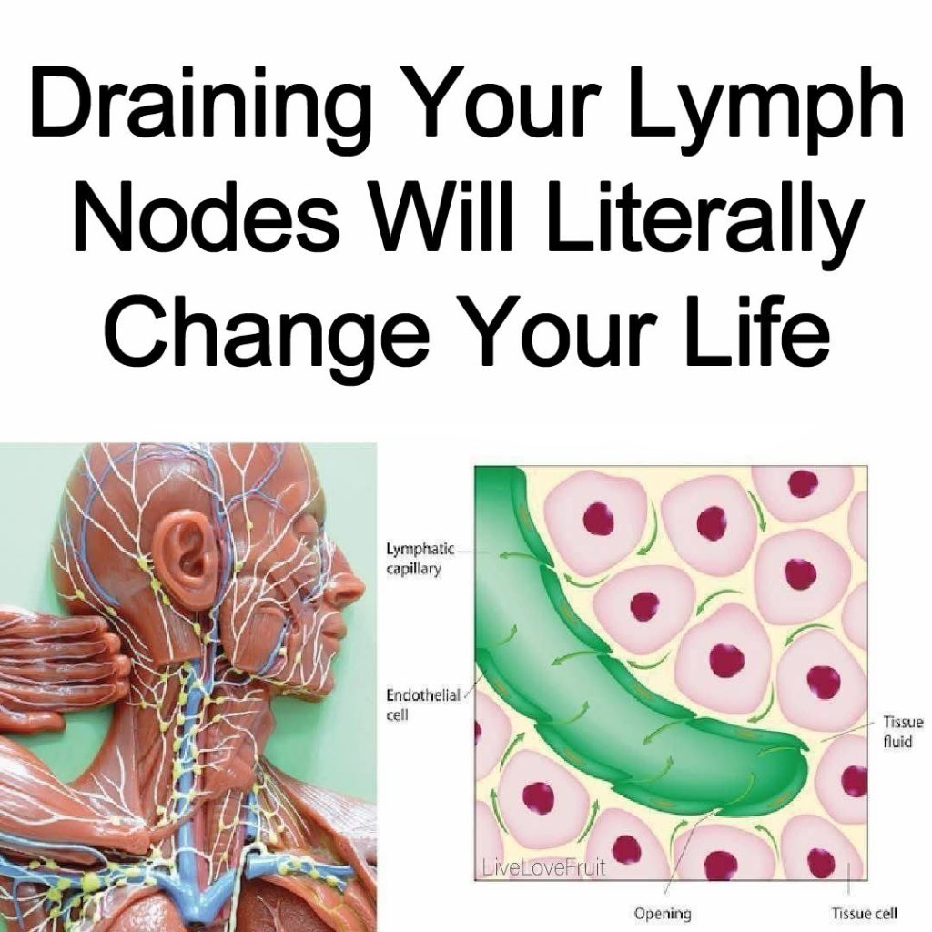 10 Ways To Support Your Lymphatic System – Tiny House Zone