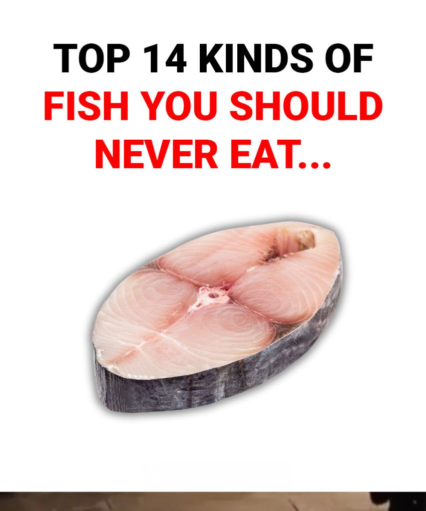 14 Fish You Should Consider Never Eating – Tiny House Zone