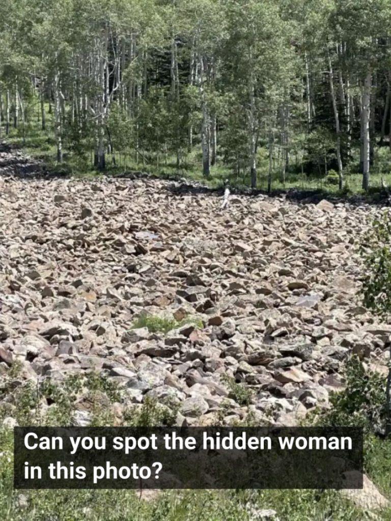 Only People With Eagle Eyes Can Spot The ‘Hidden’ Woman In This Photo ...