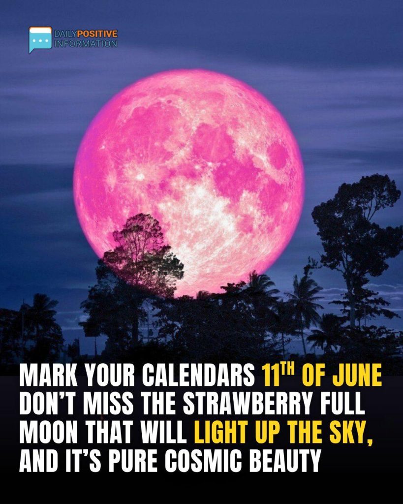 June 11 Strawberry Moon: Last Full Moon Of Spring Will Hang Low And ...