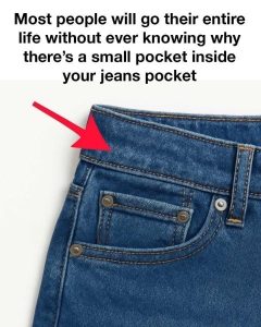 The origins of the tiny pocket through history – Tiny House Zone