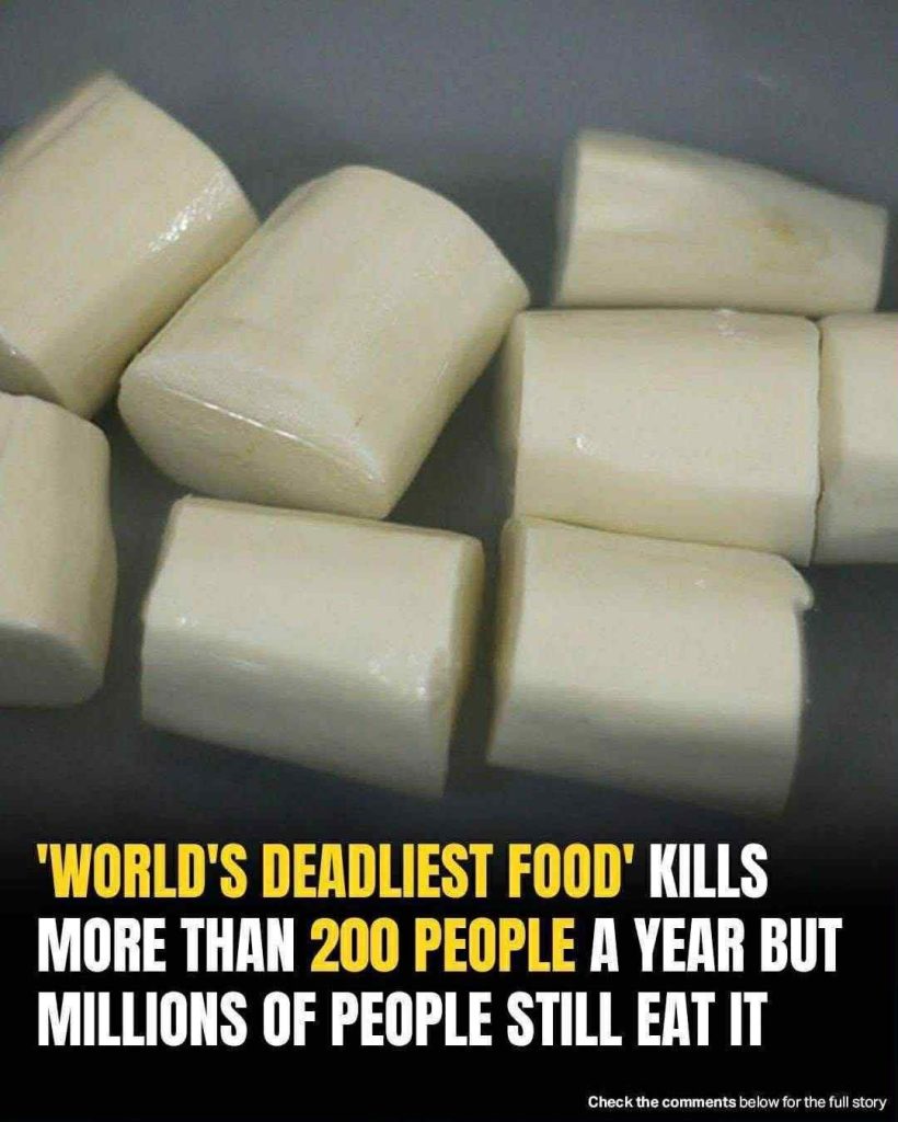 The ‘world’s deadliest food’ claims over 200 lives every year, yet ...