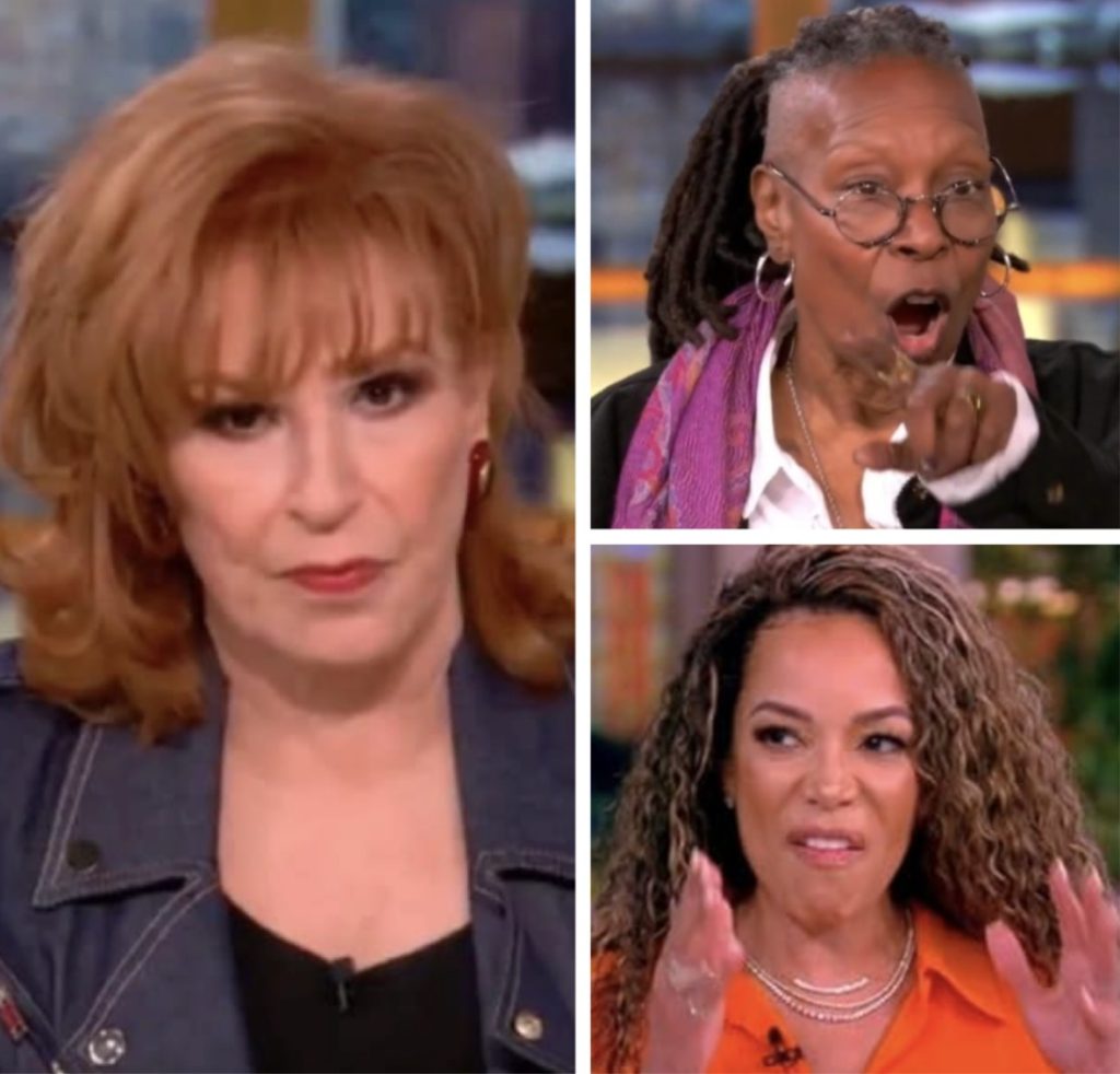 ‘The View’ Hosts In Hot Water After ABC Gives Them This Warning – Tiny ...