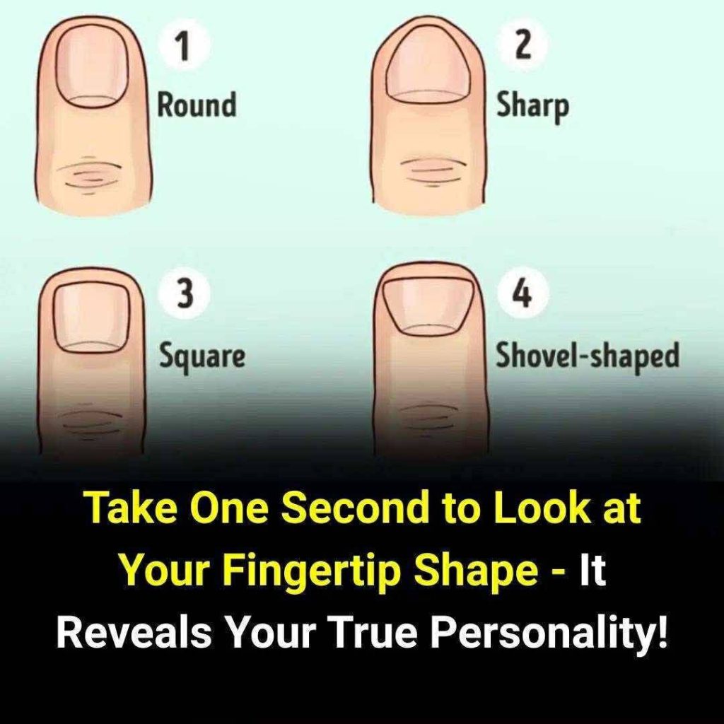 The shape of your fingertips reveal your true personality – Tiny House Zone