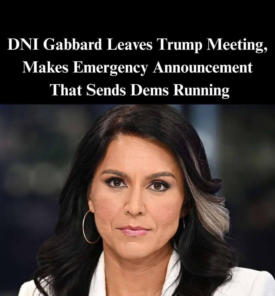 DNI Gabbard Makes Big Move Following Intel Leaks To Press – Tiny House Zone