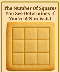 The Number Of Squares You See Determines If You’re A Narcissist – Tiny ...