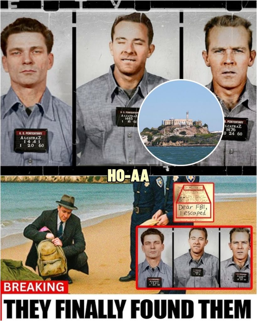 The Alcatraz Mystery Finally Cracked: After 55 Years, The Truth Emerges ...
