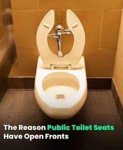 Why Public Toilet Seats Have That Strange Front Gap — The Truth ...