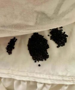 I Found Strange Black Grains Under My Mattress — What I Thought Were ...