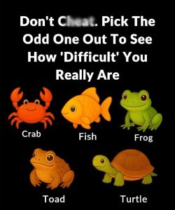 How Your Choice in a Simple “Odd One Out” Puzzle Reveals Your Unique ...