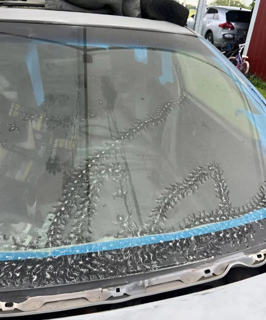 I noticed odd marks on my car, and discovering their source completely ...