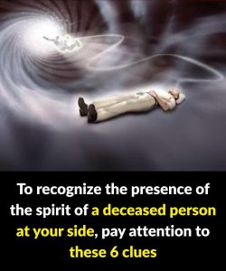How to Recognize True Character: The Two Signs That Reveal Everything ...