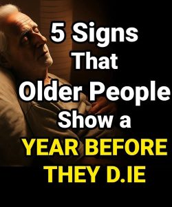 5 signs that an elderly person may be in their last year of life ...