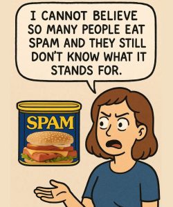 SPAM: What does it stand for, and what are its ingredients? – Tiny ...