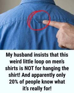 The Quiet Story Behind the Small Loop on the Back of Button-Down Shirts ...