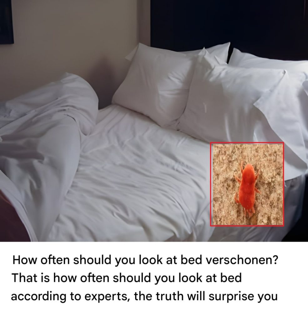 How Often Should You Really Change Your Bed Sheets? This Is How Often ...