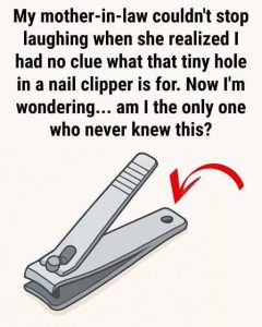 Why Your Nail Clipper Has That Small Round Hole and Why It Still ...