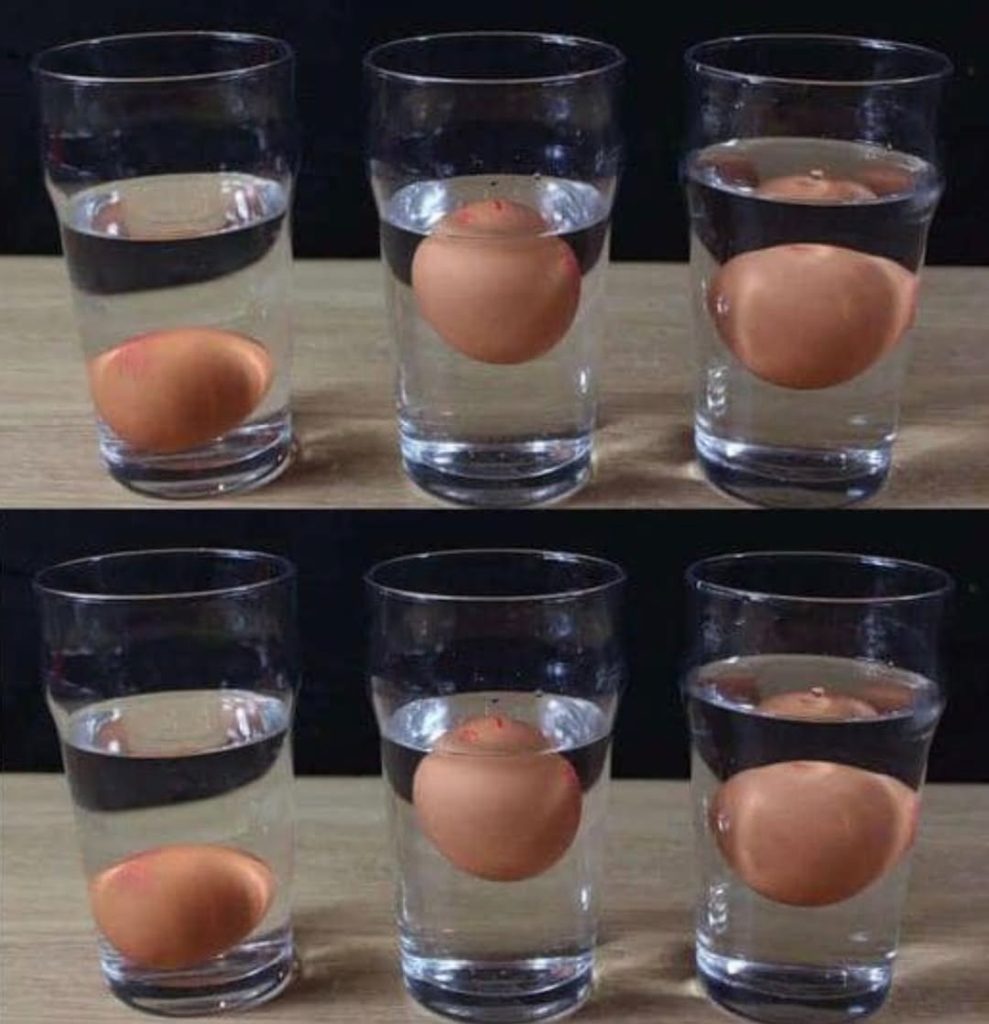 How to Tell If an Egg Has Gone Bad—3 Foolproof Tests (Plus What ...