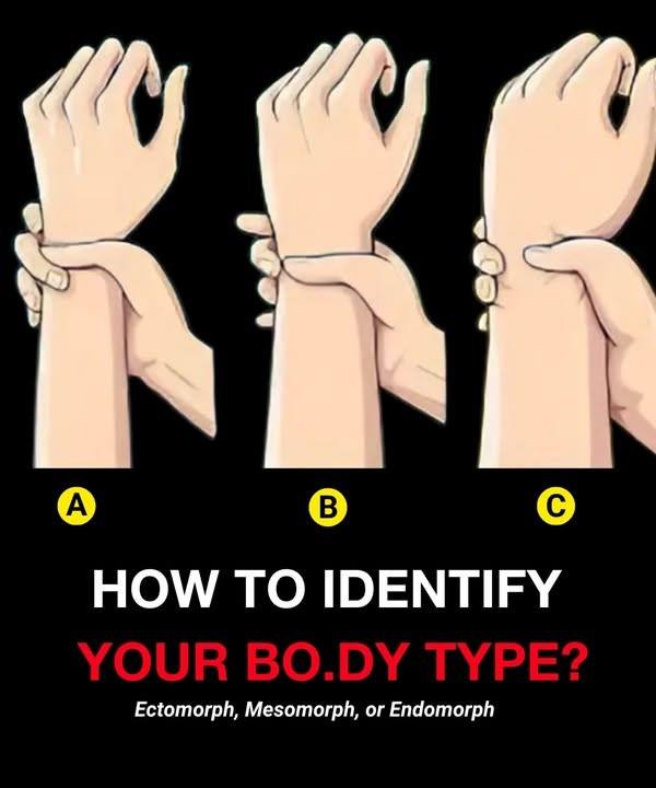 Bo.dy Types: Are You Ectomorph, Mesomorph, or Endomorph? – Tiny House Zone