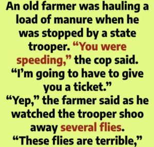 Why Flies Kept Circling an Old Farmer – Tiny House Zone