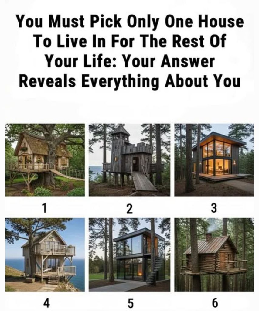 You Must Pick Only One House To Live In For The Rest Of Your Life: Your ...