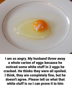 What Is That White String in an Egg – Tiny House Zone