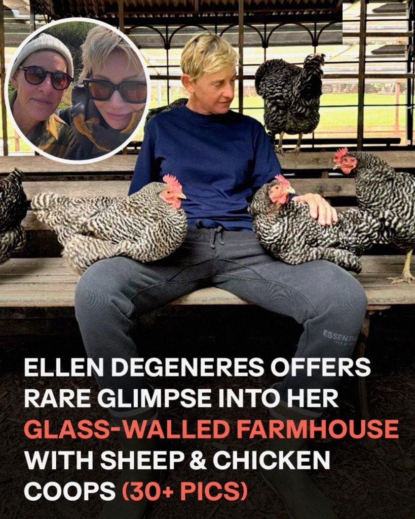 A Look Inside Ellen DeGeneres’ Expansive Home in the English ...