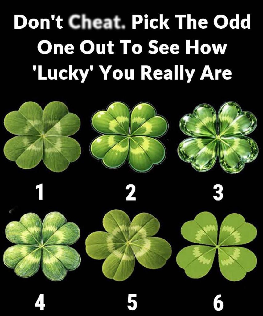 Don’t Ch:eat. Pick The Odd One Out To See How ‘Lucky’ You Really Are ...