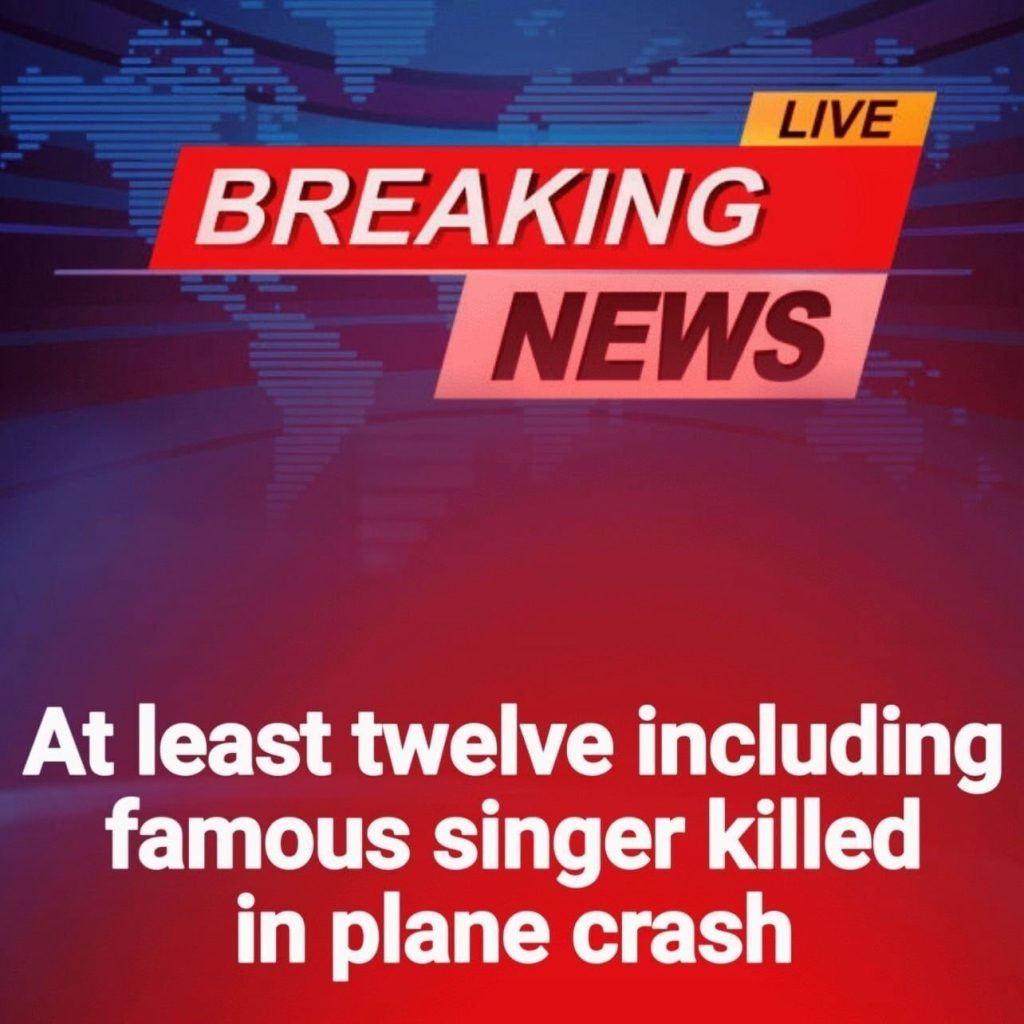 Twelve dead including famous singer in plane crash off remote island ...